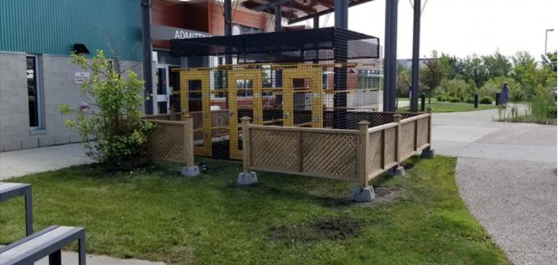 Cat Safety | City of Edmonton