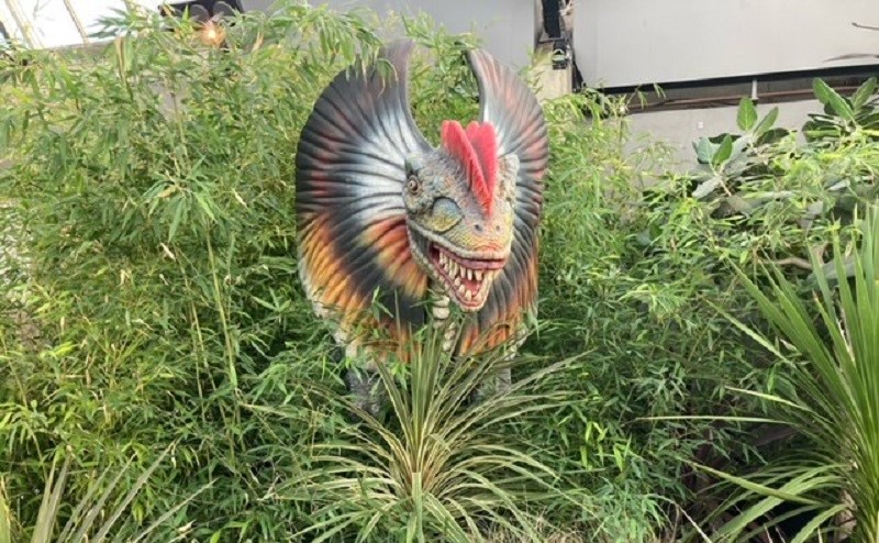 Events and Concerts at the Muttart Conservatory | City of Edmonton Events and Concerts at the Muttart Conservatory | City of Edmonton