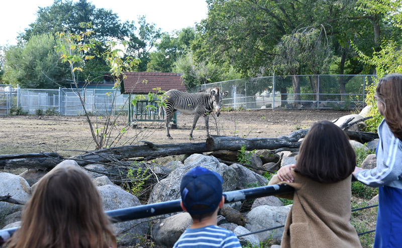 Edmonton Valley Zoo | City of Edmonton