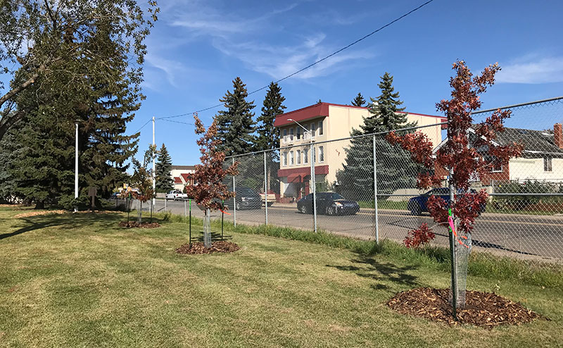 Grow Together Program | City of Edmonton